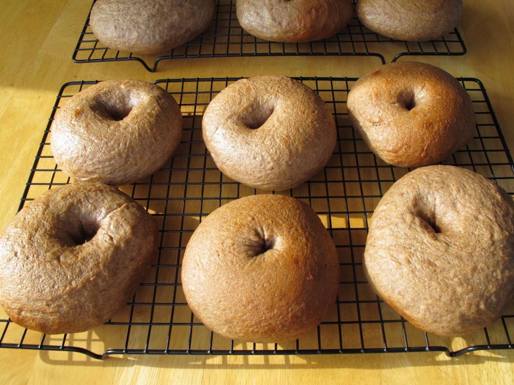 Maple Cinnamon Bagels (Guest Post) | spontaneous tomato
